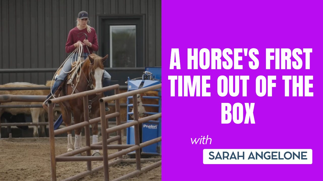 A Horse's First Time Out of the Box with Sarah Angelone - Roping․com