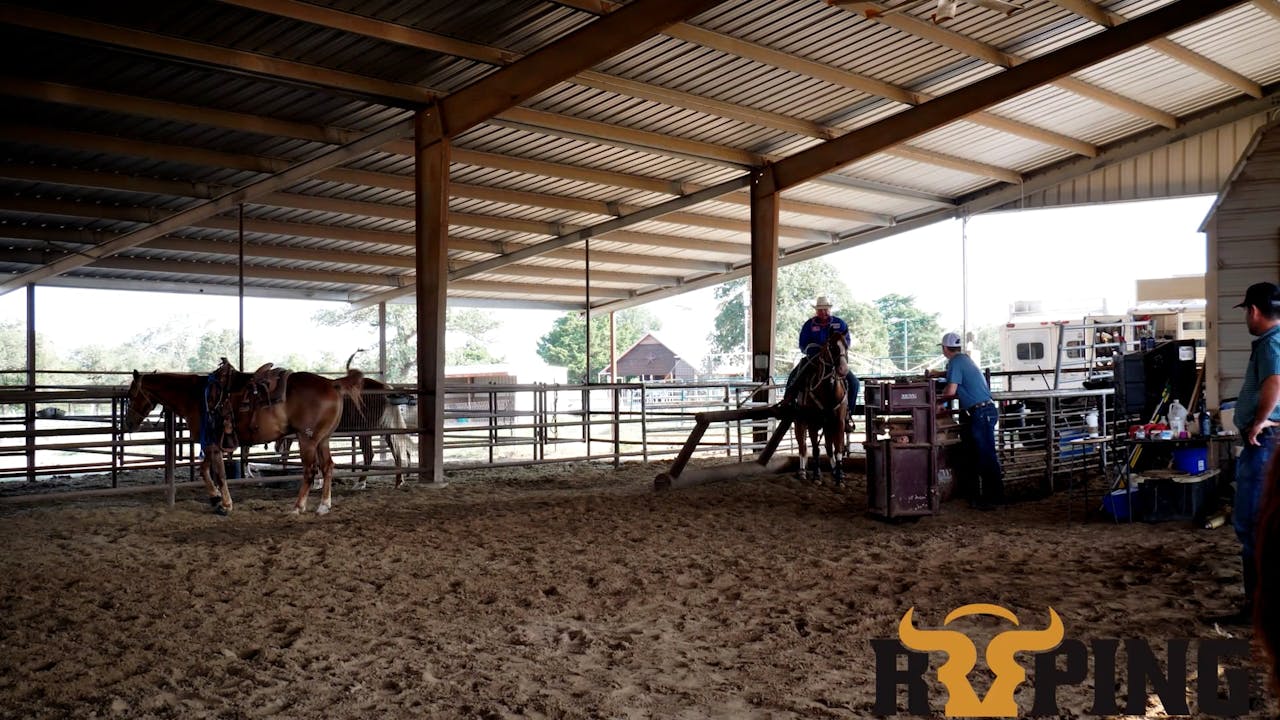 Practice Session - Green Calf Horse - Roping․com