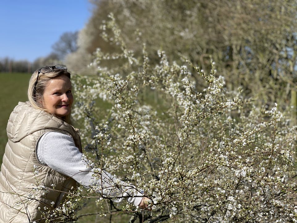 Blossom installation - Blossom & Prosper