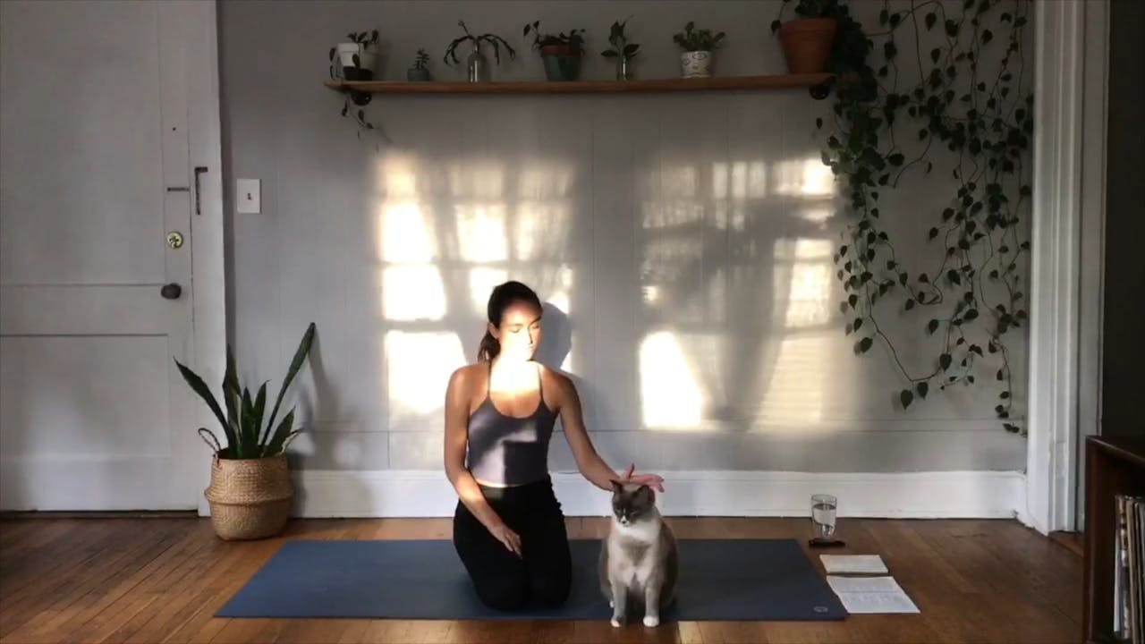 Mindful Hot Kayla (Livestream) - Kayla - {sacred}thread yoga