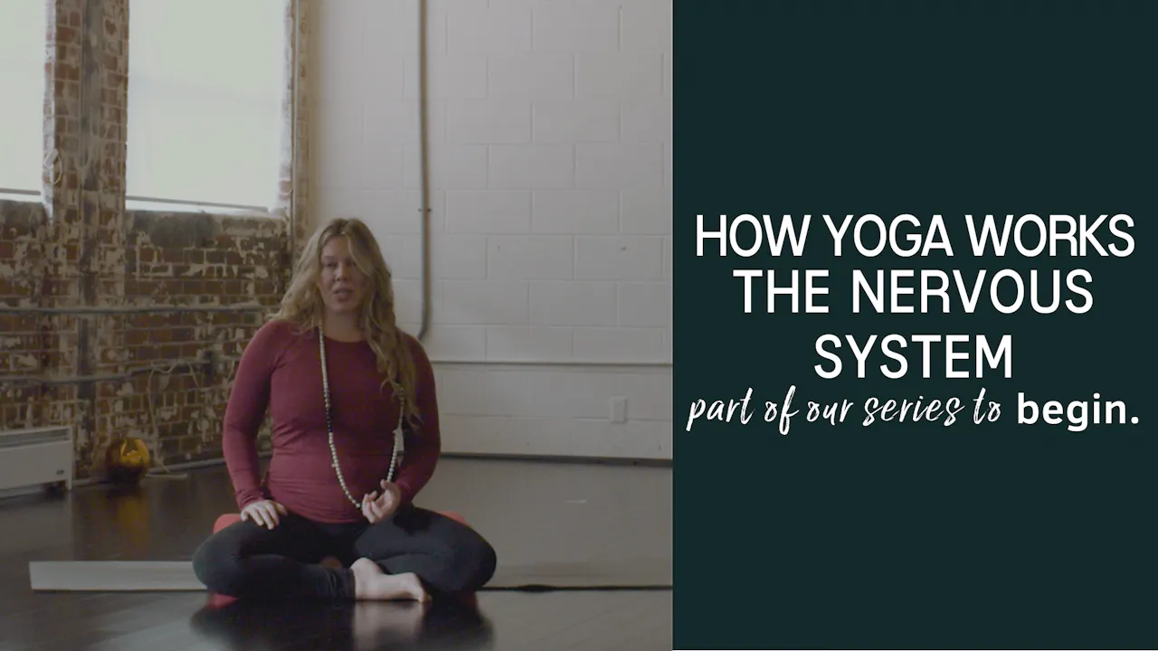 How Yoga Works...the Nervous System - {sacred}thread yoga