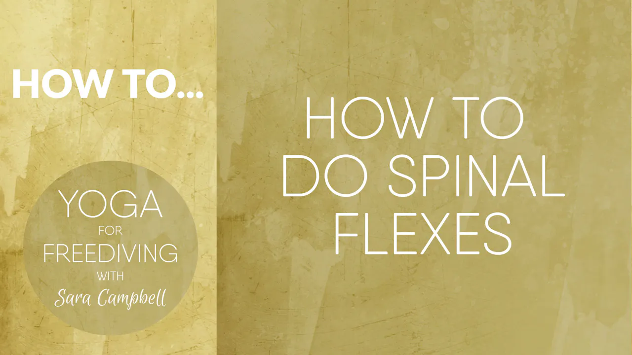 How to do Spinal Flexes - Yoga for Freediving with Sara Campbell
