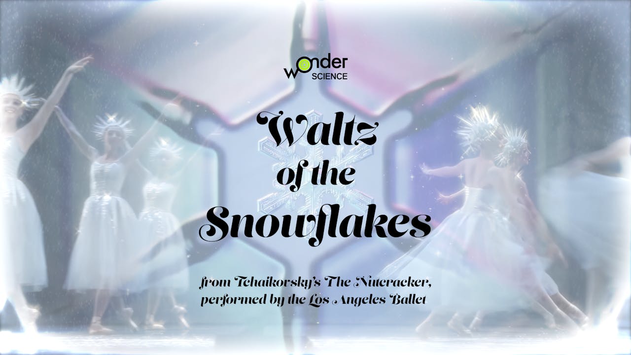 Waltz of the Snowflakes - Wonder Science