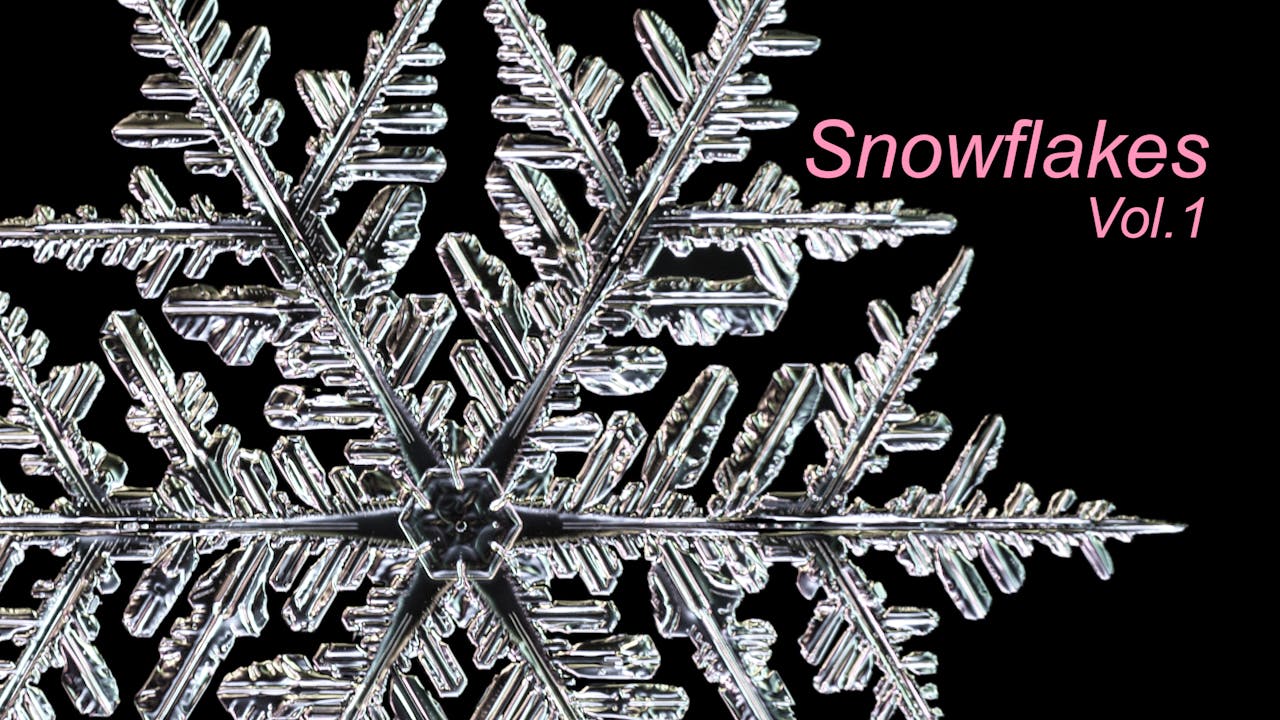 Snowflakes Vol.1 - Wonder Science