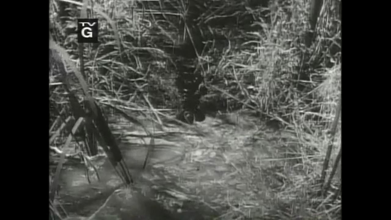 Beverly Hillbillies Jethro's Friend - Singing News TV