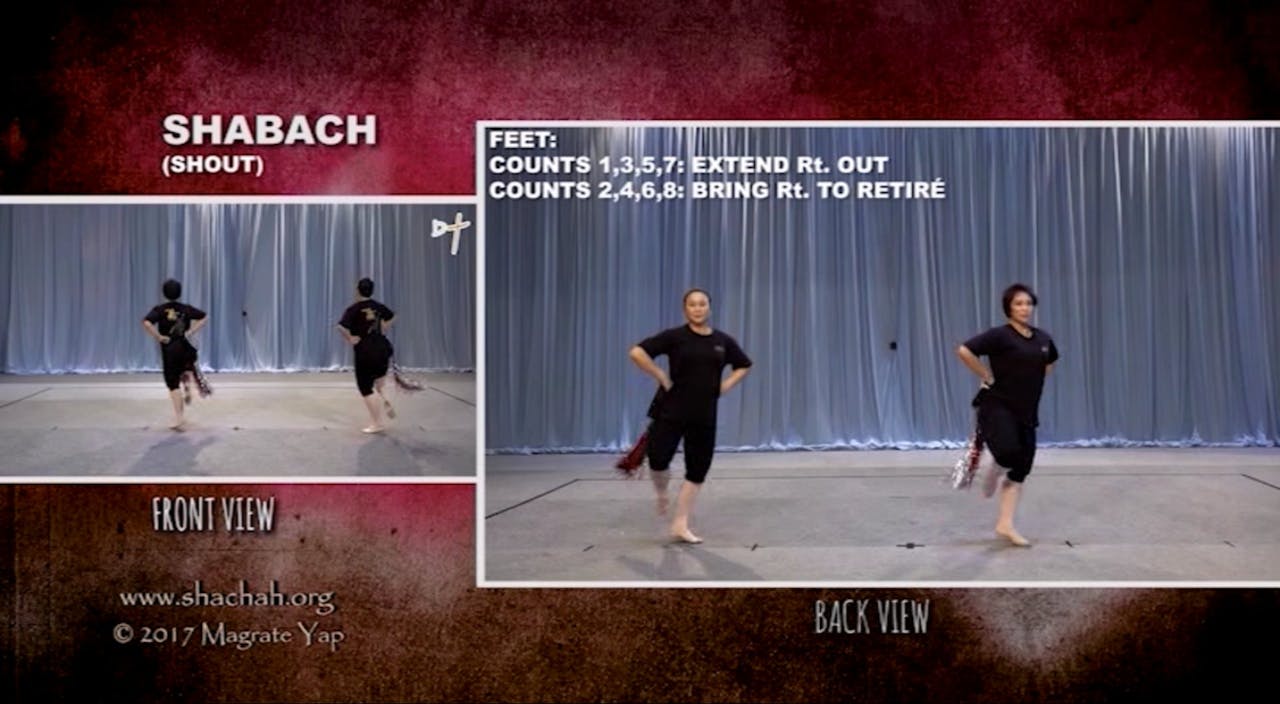 T04: INSTRUCTION PATTERN 13. SHABACH - Shachah Training Resources