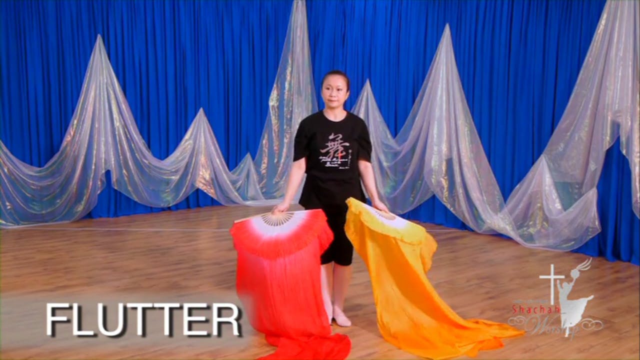 FS01 INSTRUCTION KEYS 7. LINEAR ARM MOVEMENTS - Shachah Training Resources