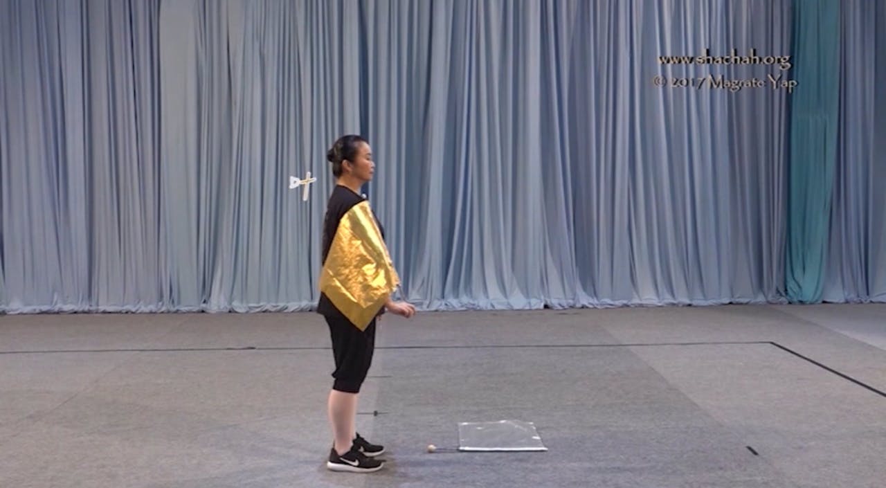 FLAGS KEYS 04 HOW TO HOLD YOUR FLAG - Shachah Training Resources