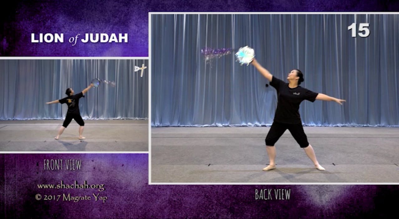 T03: INSTRUCTION PATTERN 3. LION OF JUDAH - Shachah Training Resources