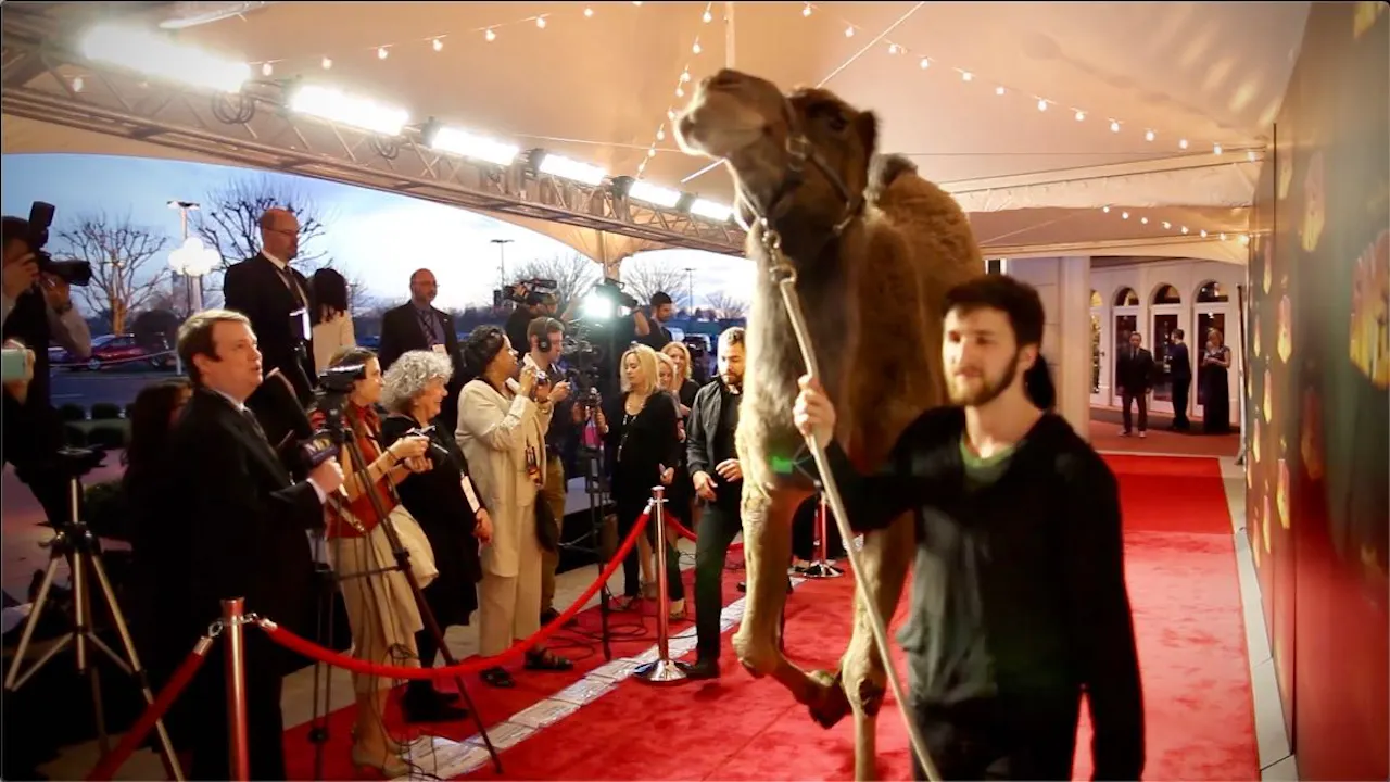 SAMSON on the Red Carpet - SAMSON - Sight & Sound TV