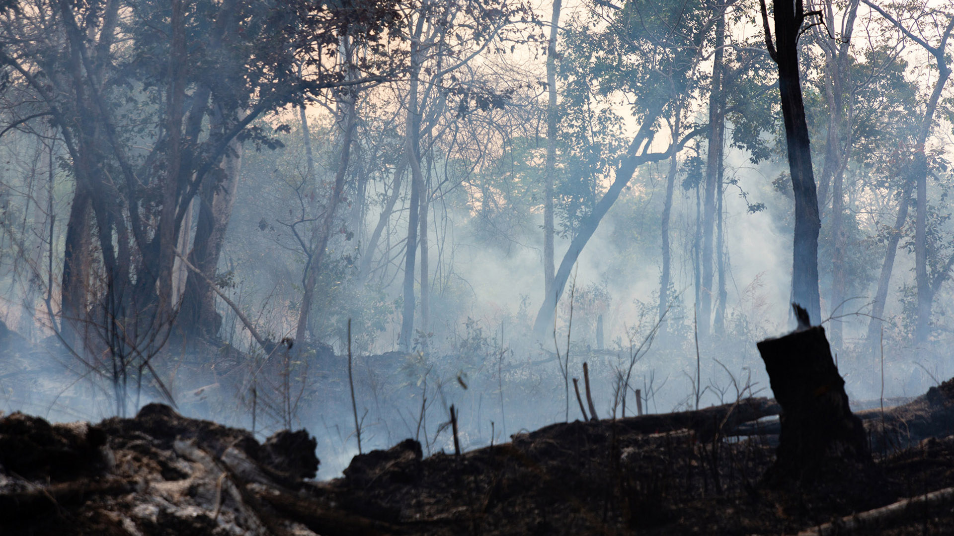 German Subtitles - SIMA ACADEMY