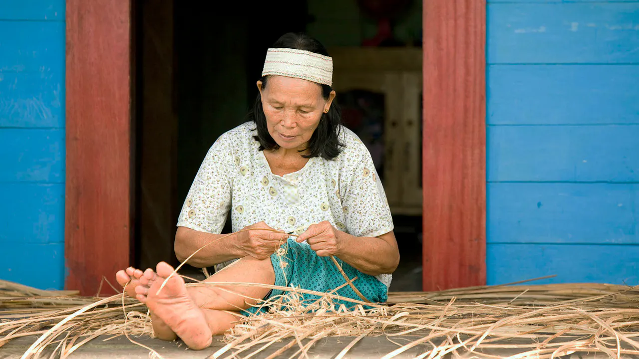 Dayaks and Drones - Films - SIMA ACADEMY