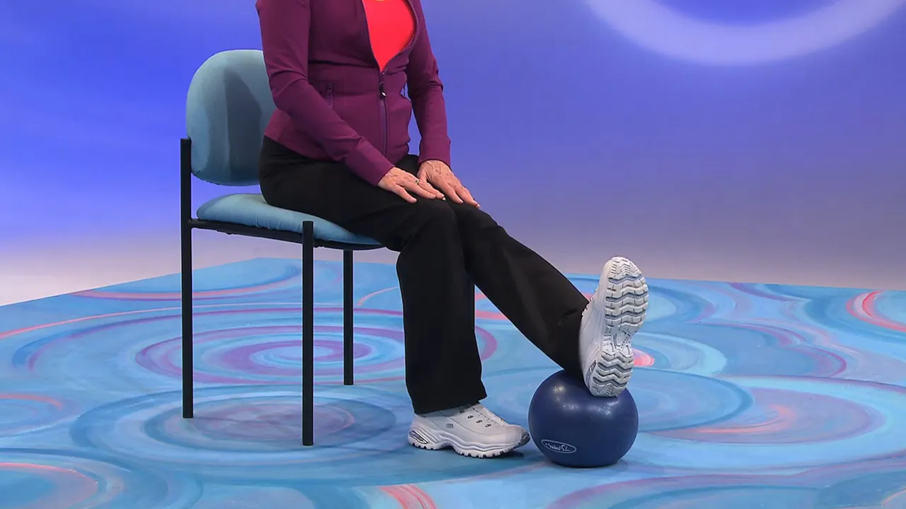 Episode 1313 - Sit and Be Fit TV