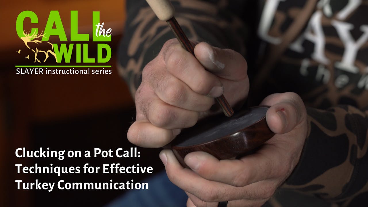 Clucking on a Pot Call: Techniques for Effective Turkey Communication ...
