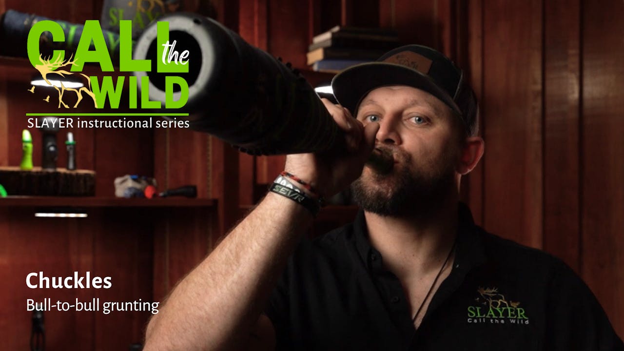 Chuckles - Season 1 | Learn to Call Elk, Intermediate Series - Call the ...