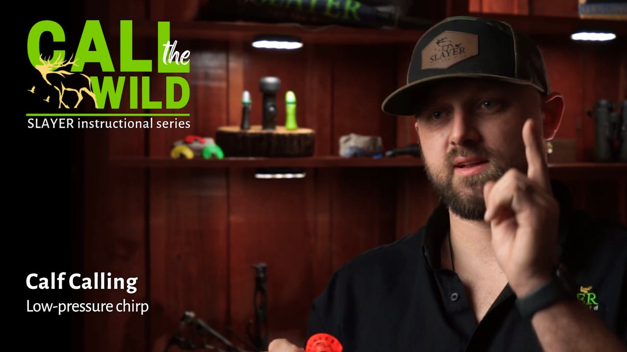Calf Calling - Season 1 | Learn to Call Elk, Intermediate Series - Call ...