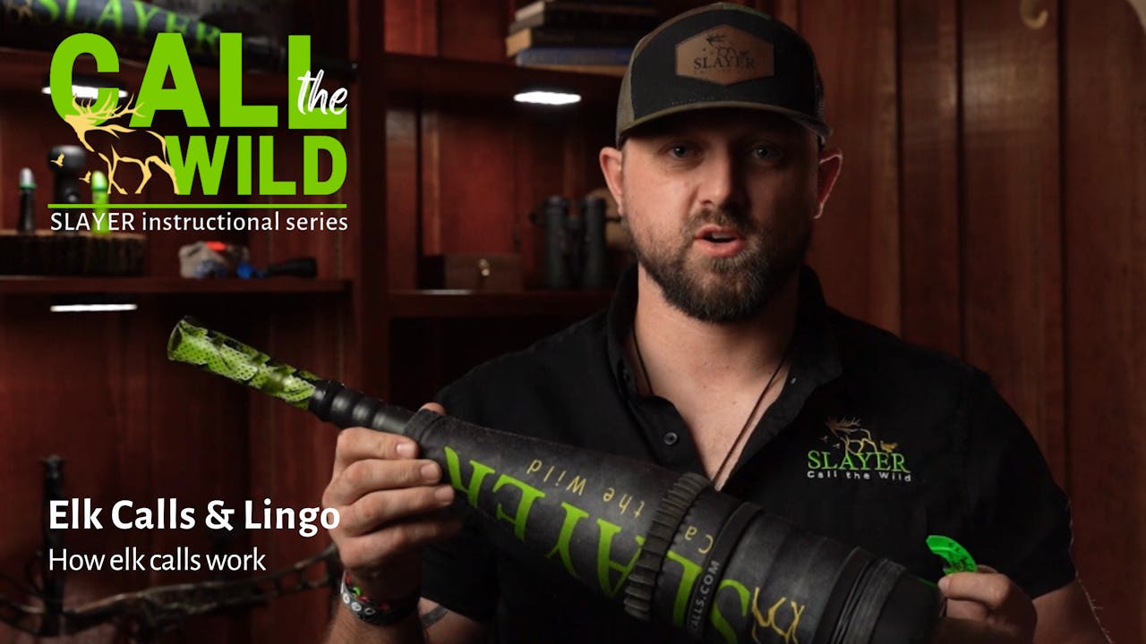 Calls and Lingo - Learn How to Call Elk, Beginner Series - Call the ...