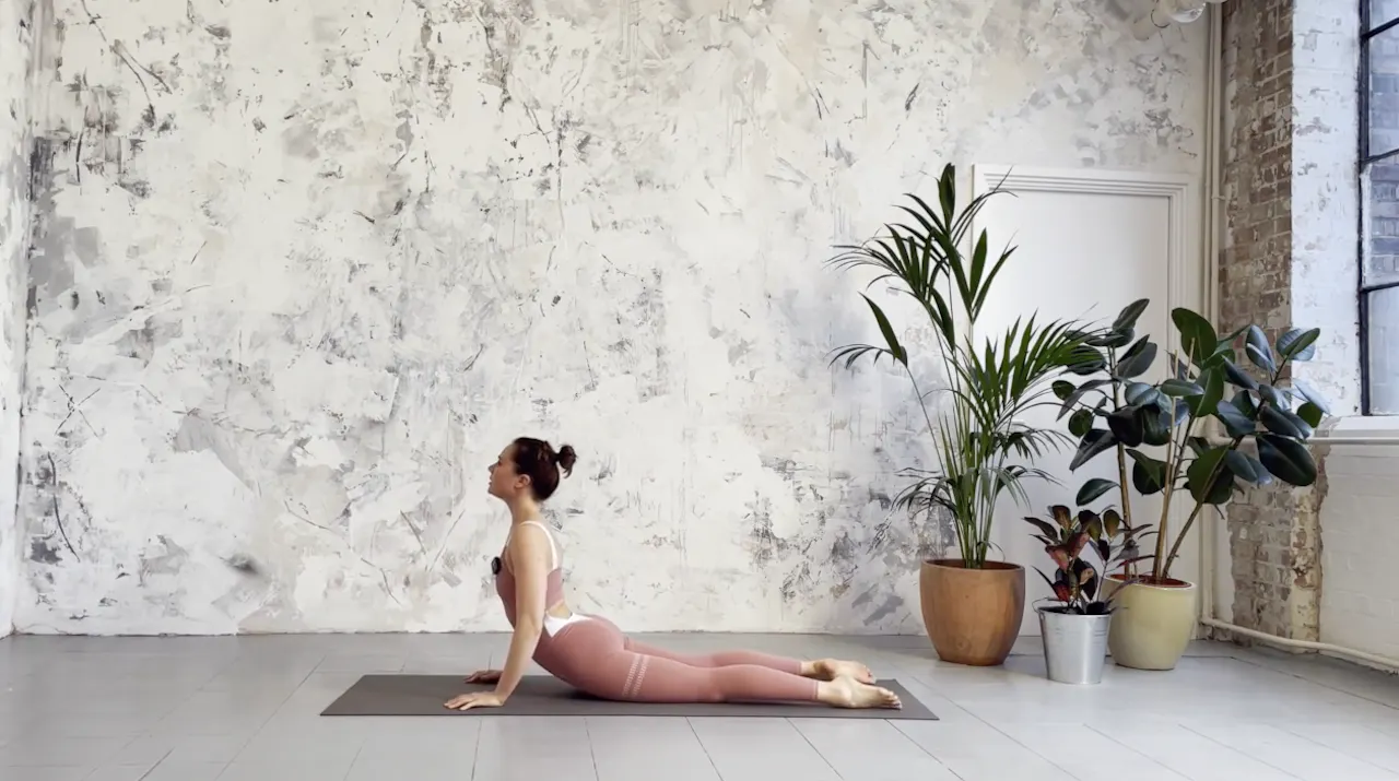 Ballet Form & Function Program Trailer - Sleek Ballet Fitness | Ballet and Barre Workouts