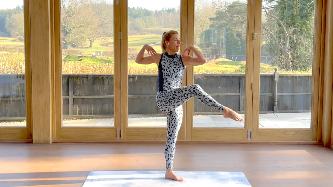 Sleek Ballet Bootcamp 'Switch up' 2 - Upper Body - Sleek Ballet Fitness | Ballet and Barre Workouts