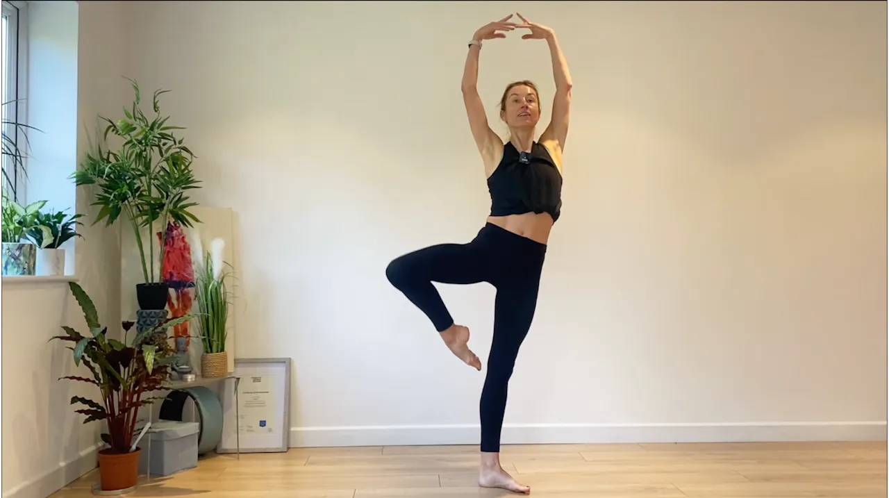 Low Flow Cardio - Sleek Ballet Fitness | Ballet and Barre Workouts