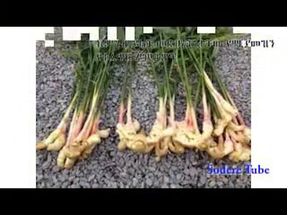 Food whose medicinal benefits outweigh their nutritional benefi ...