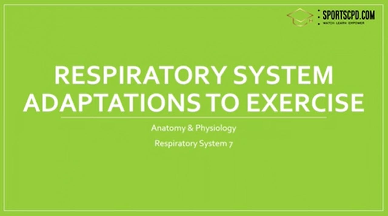 8. Respiratory system adaptations to exercise - Exercise Physiology ...