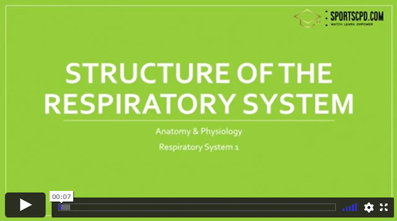 2. Structure of the Respiratory system - Exercise Physiology & Anatomy ...