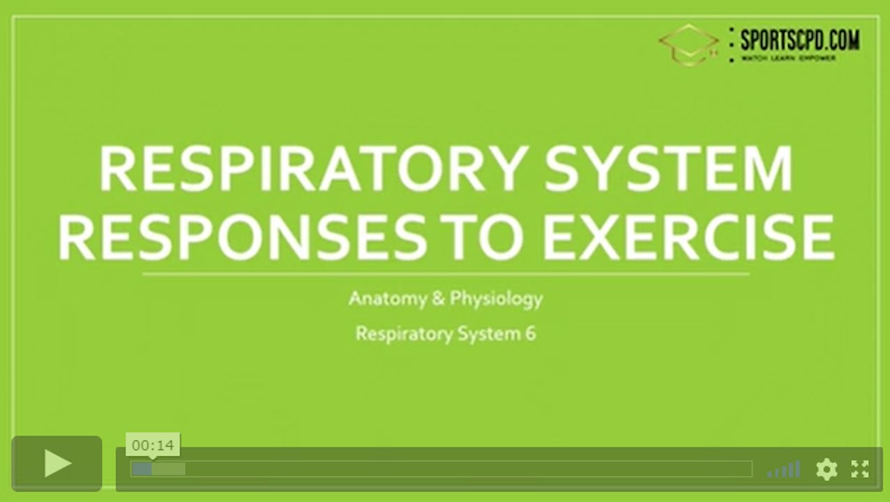 7. Respiratory system responses to exercise - Exercise Physiology ...