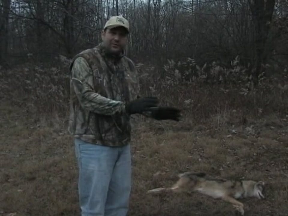 Guide to Trapping Canines with Alan Probst - Stoney Wolf Outdoors