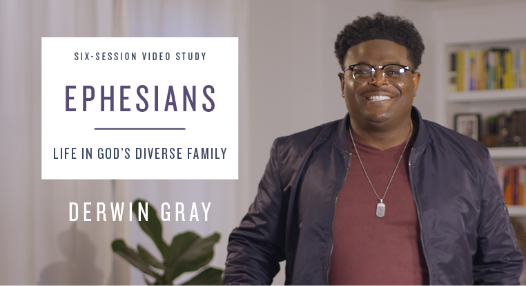 40 Days through the Book: Ephesians - Life in God's Diverse Family ...