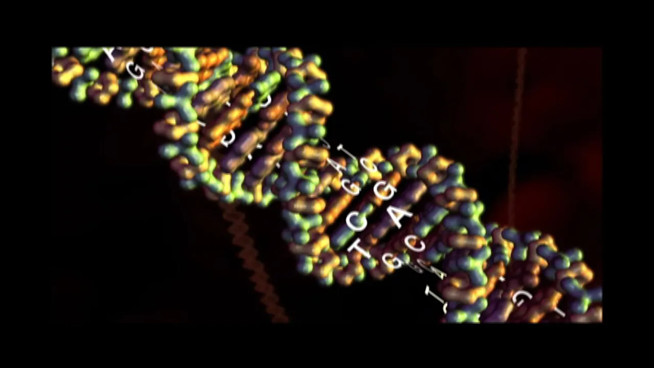 The Case for a Creator, Session 6. The DNA and the Origin of Life - The ...