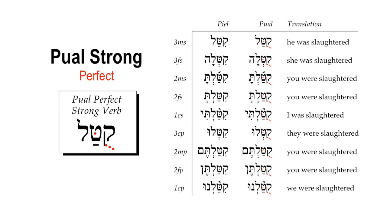 Basics of Biblical Hebrew Video Lectures, Session 28. The Pual Stem ...