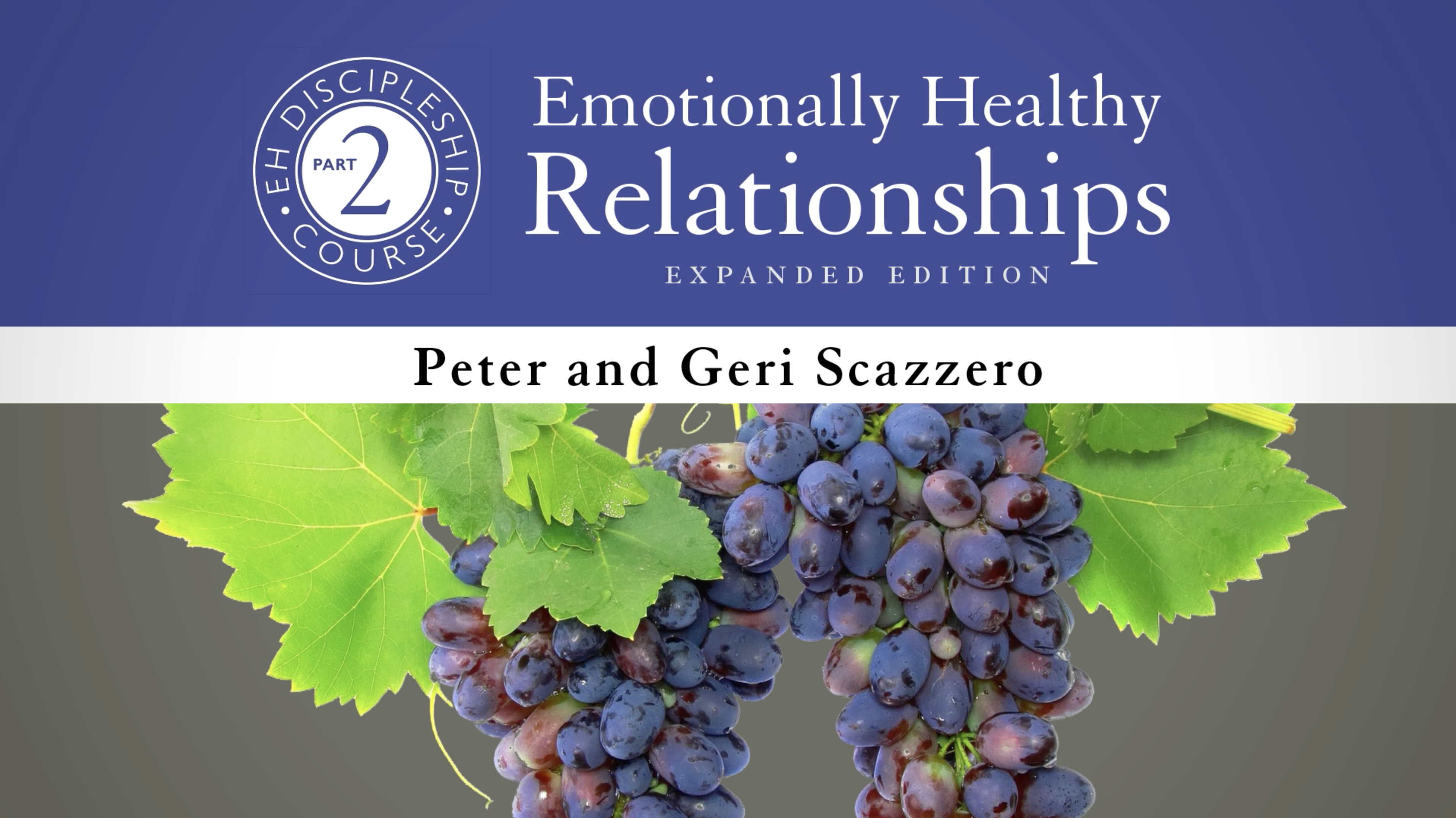 Emotionally Healthy Relationships (Expanded) (Peter & Geri Scazzero ...