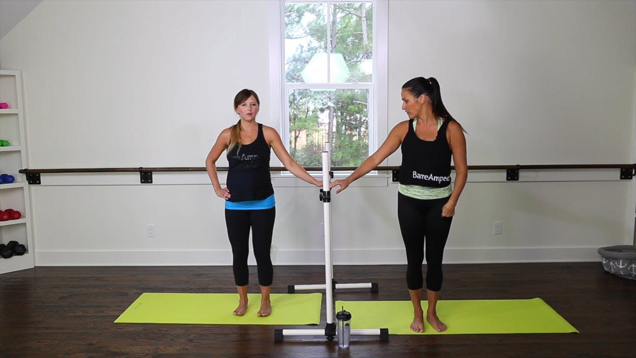 Prenatal Barre Lower Body, 20m - Suzanne Bowen Fitness