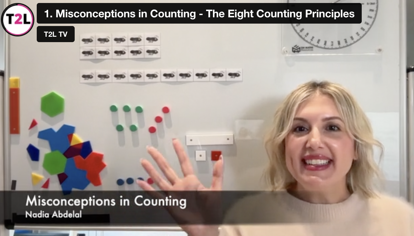 Misconceptions in Counting F-1 - T2L TV