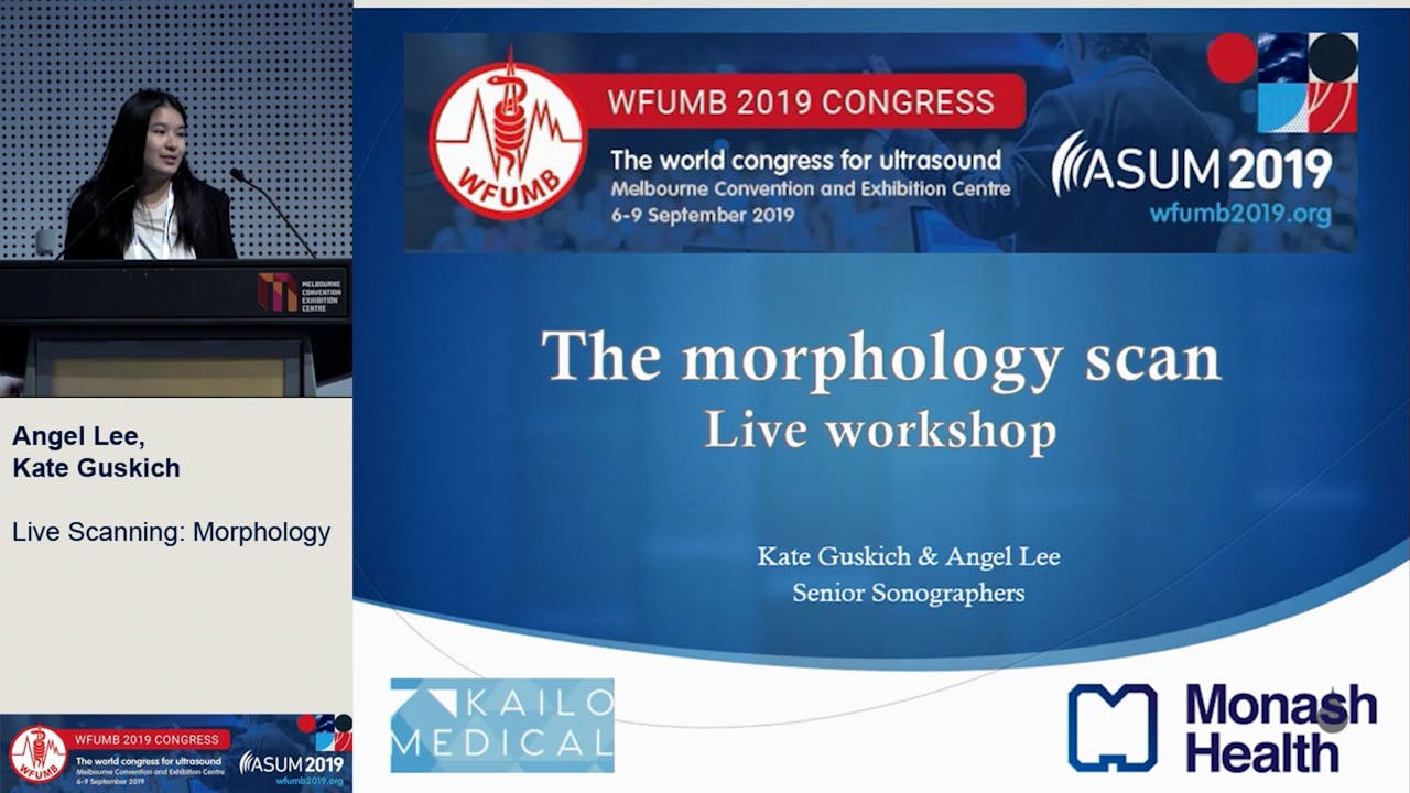 The morphology scan - live workshop - ASUMDrive