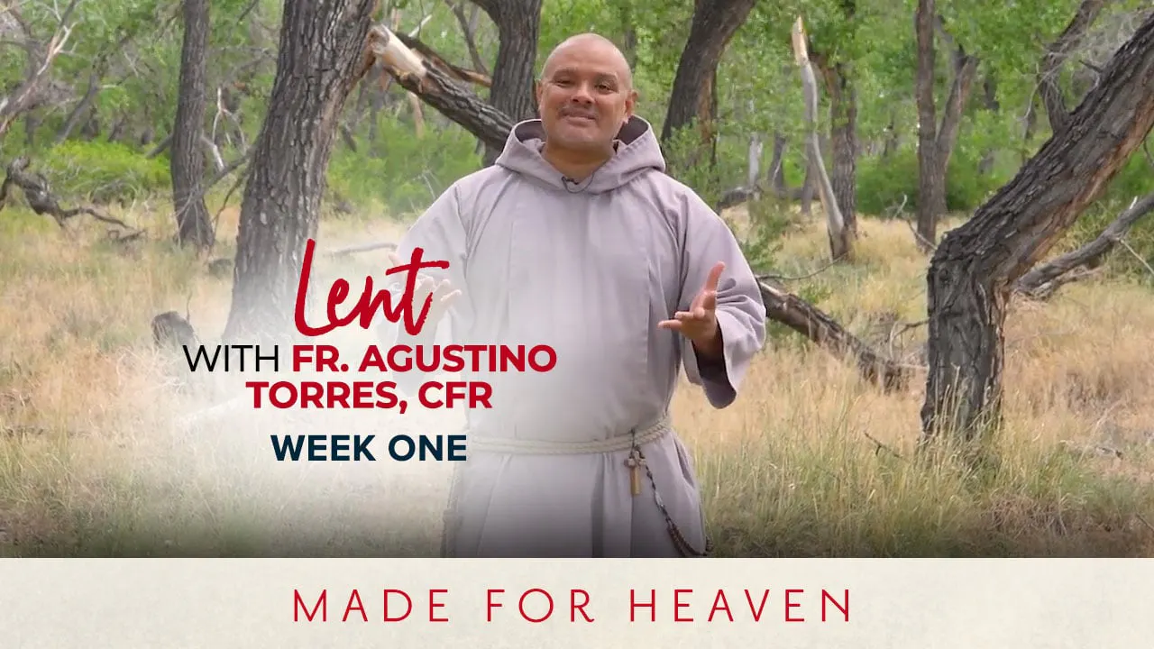 Week One | Lent with Fr. Agustino - Made for Heaven | Lent with Fr ...