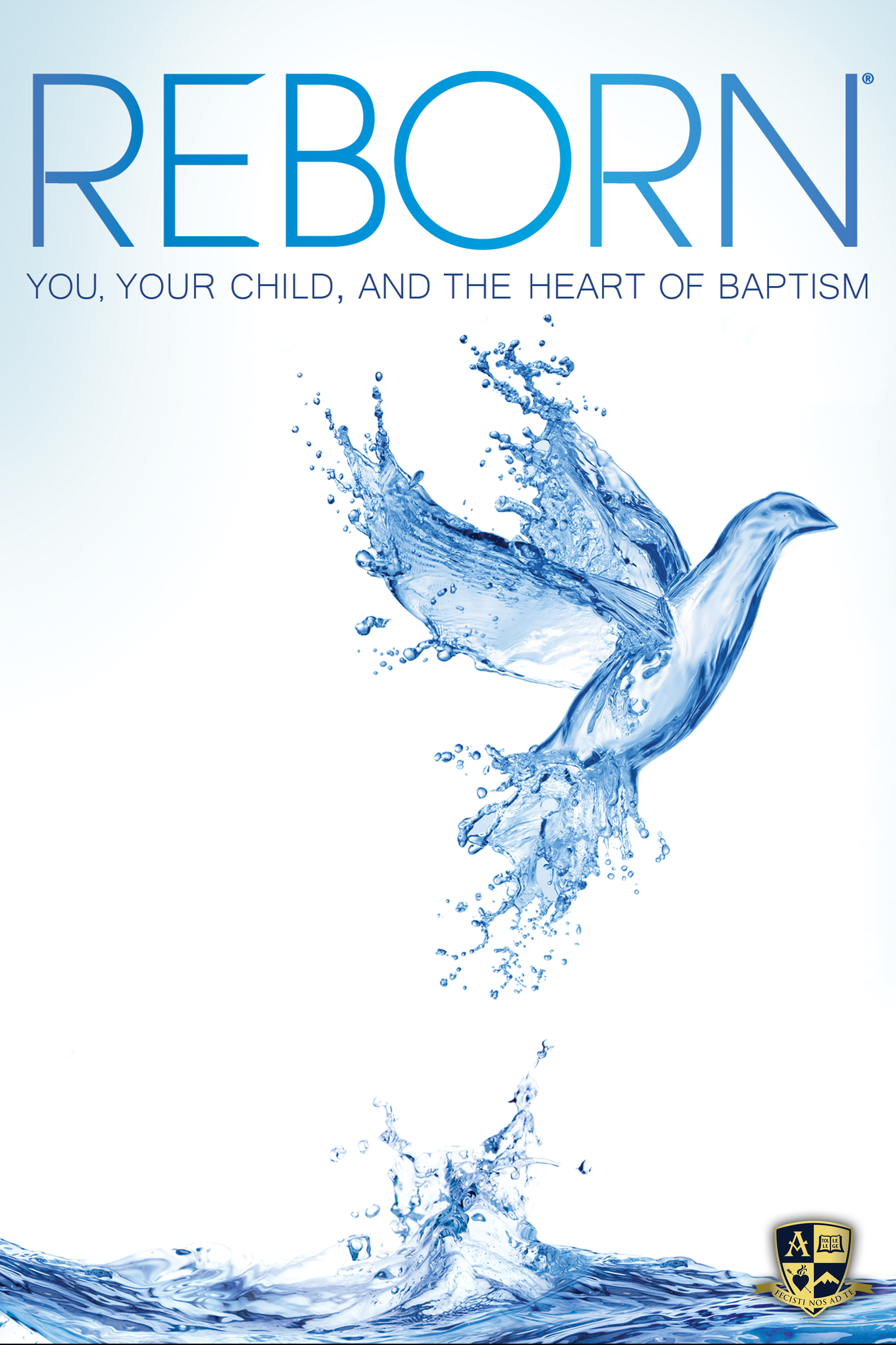The Sacraments - Formed
