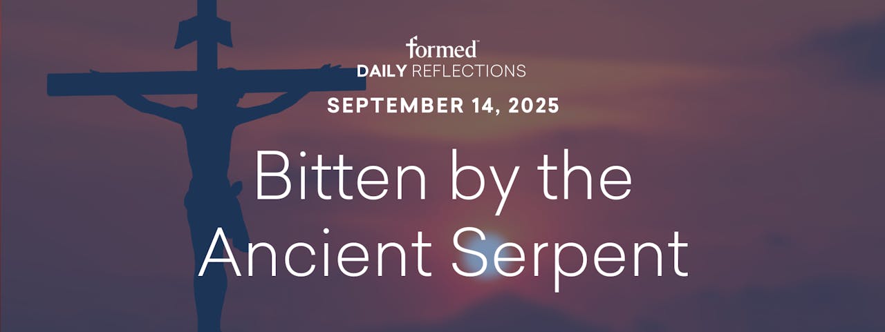 Daily Reflections — September 14, 2025 - Ordinary Time — September 2025 ...