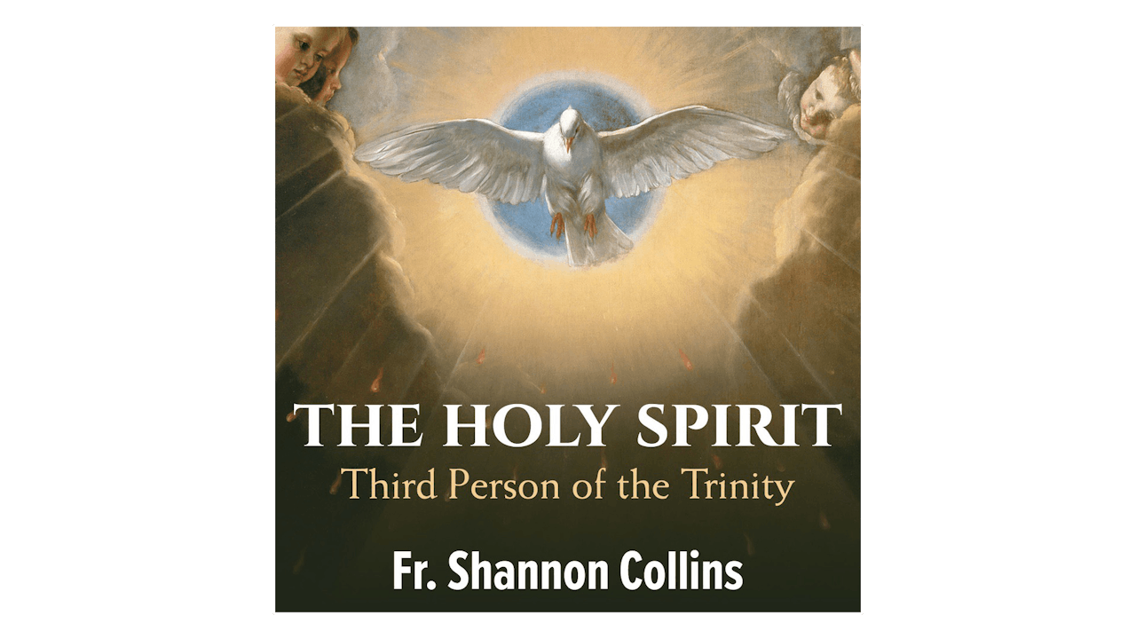 The Holy Spirit: Third Person of the Trinity by Fr. Shannon Collins ...