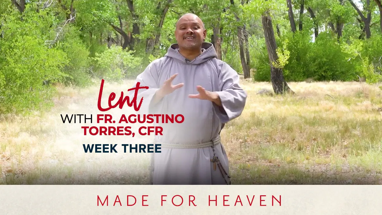 Week Three | Lent with Fr. Agustino - Made for Heaven | Lent with Fr ...