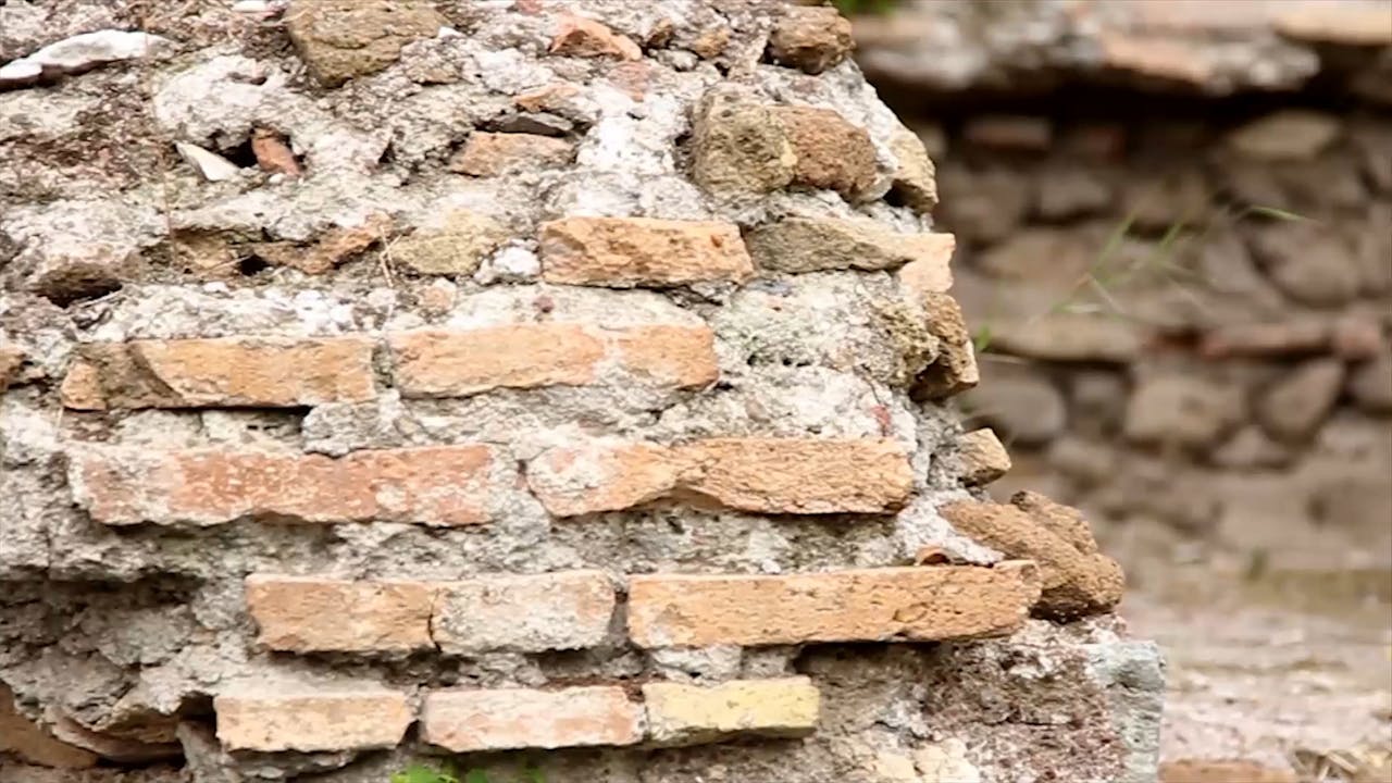 The Paschal Mystery: The Mystery of Jesus's Death & Resurrection ...