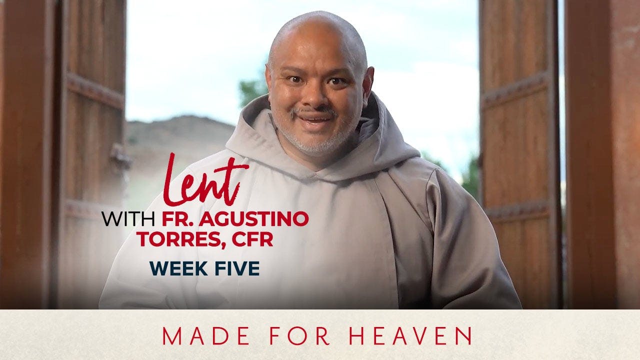 Week Five | Lent with Fr. Agustino - Made for Heaven | Lent with Fr ...