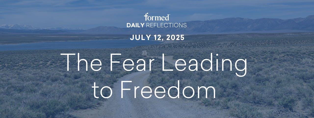 Daily Reflections — July 12, 2025 - Ordinary Time — July 2025 - Formed