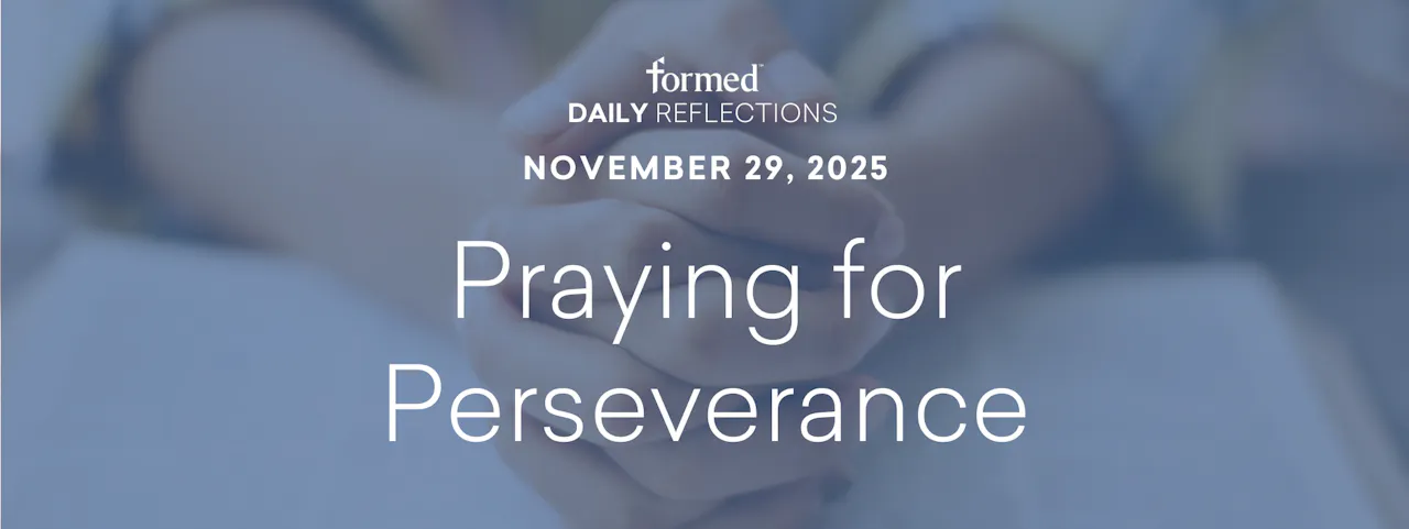 Daily Reflections — November 29, 2025 - Ordinary Time—November 2025 ...