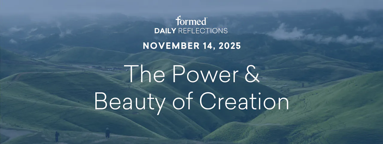 Daily Reflections — November 14, 2025 - Ordinary Time—November 2025 ...