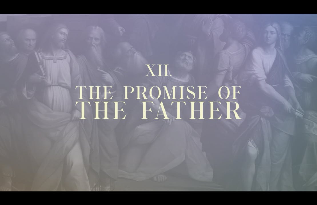 Station 12 | Via Lucis Commentary | The Promise of the Father - Formed