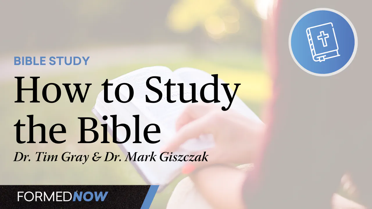 How to Study the Bible - All Episodes - Formed