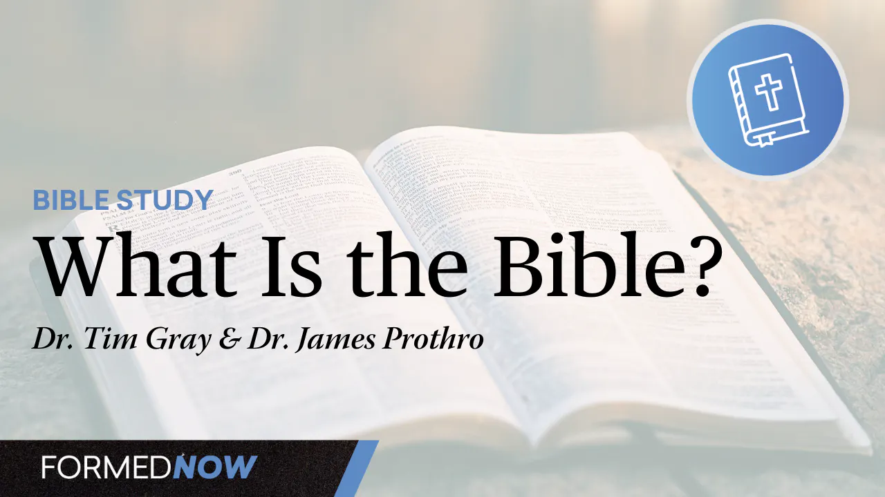 What Is the Bible? - All Episodes - Formed