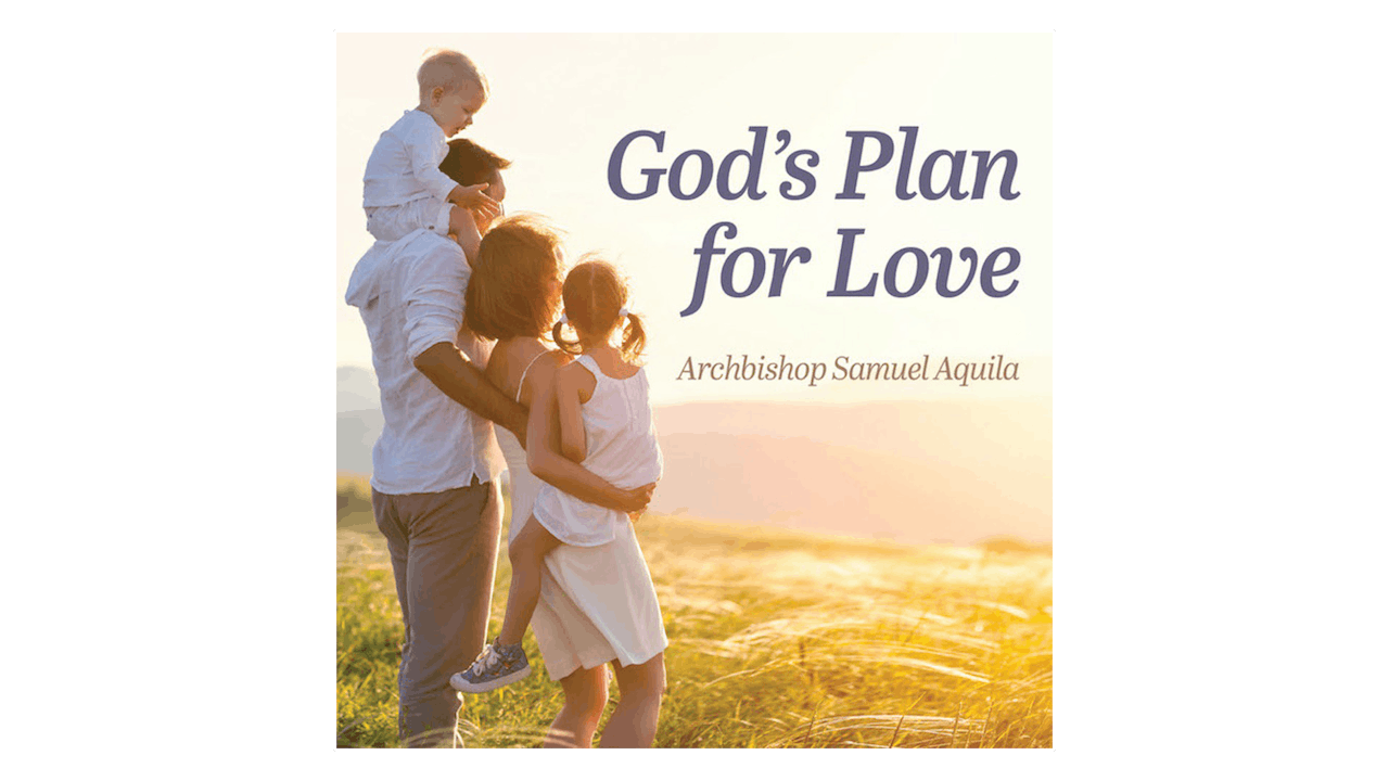 Gods Plan For Love Humanae Vitae Sex And Authentic Freedom By Abp